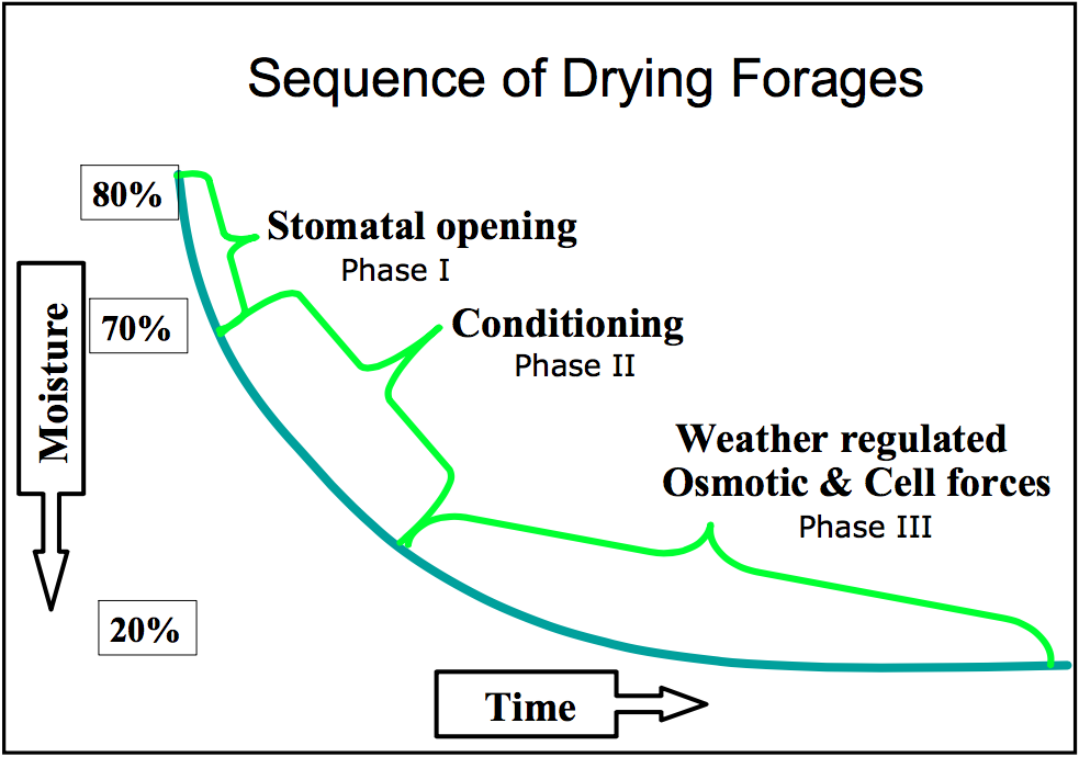 Field Drying Forage for Hay and Haylage – Dairy