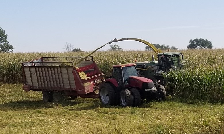 Pricing Corn Silage – Dairy