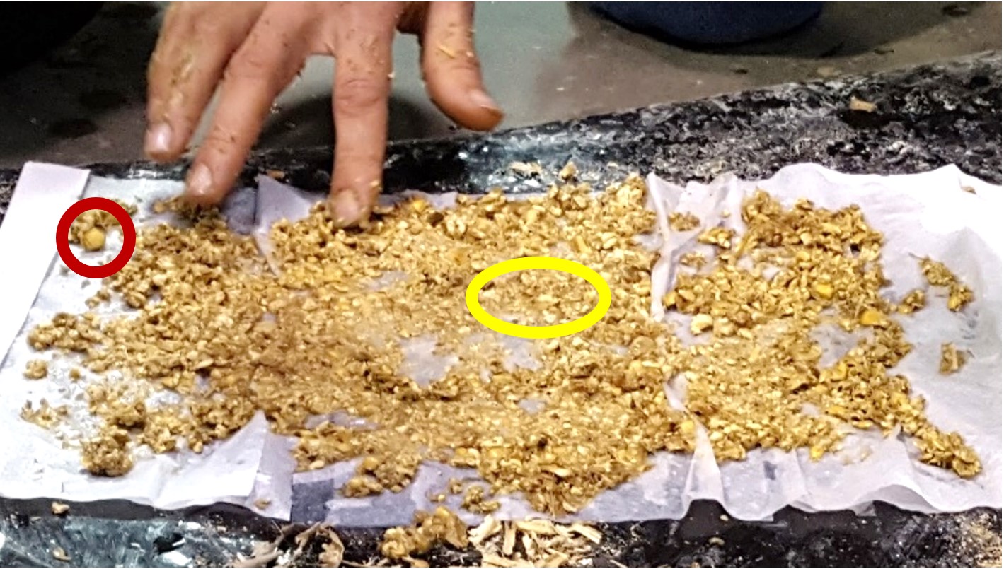 Check Your Corn Silage Processing During Harvest to Ensure Optimal ...