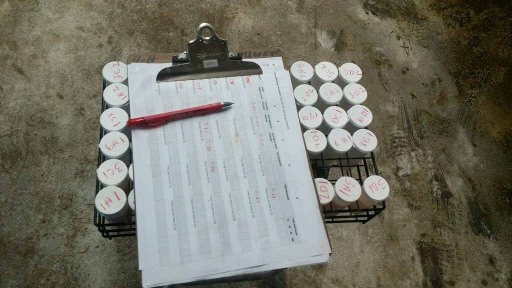 Dairy Worker Module 1: Milking Skills – Dairy