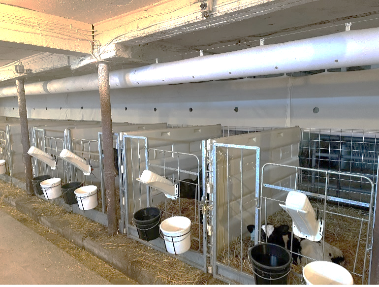 Dairy – Division of Extension