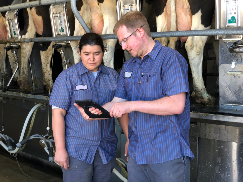 Dairy – Division of Extension