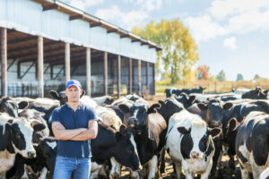 Dairy Cow Stress and Strain: Impacts on Reproduction – Dairy