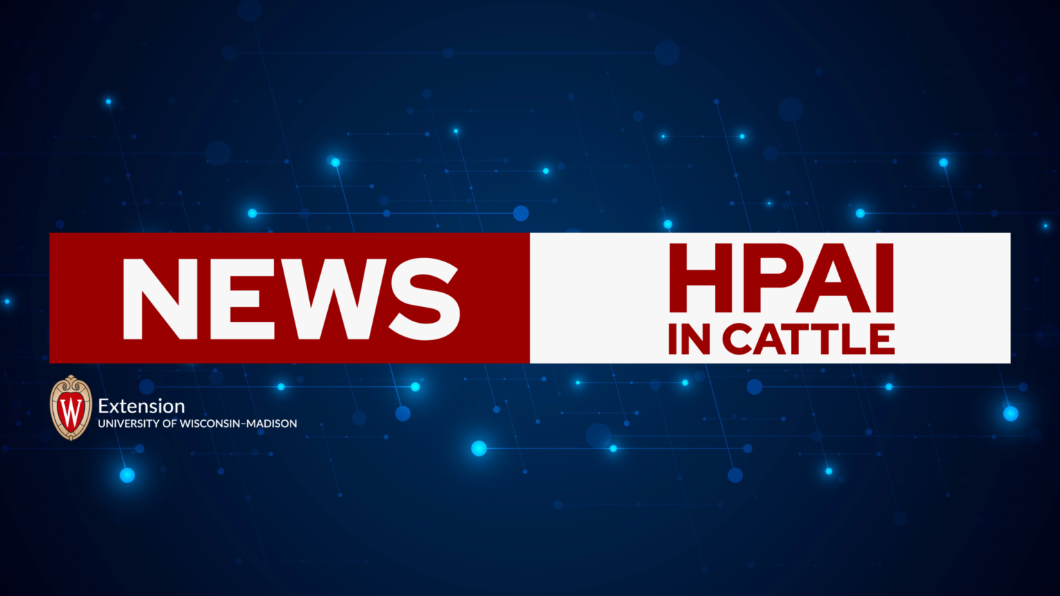 HPAI Update: New testing requirements for Dairy events in Wisconsin – Dairy