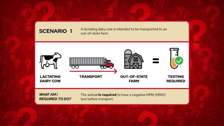 Resources for Highly Pathogenic Avian Influenza (HPAI) H5N1 virus in ...