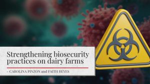 Strengthening biosecurity practices on dairy farms – Dairy