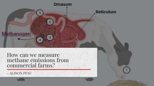 How can we measure methane emissions from commercial farms? – Dairy