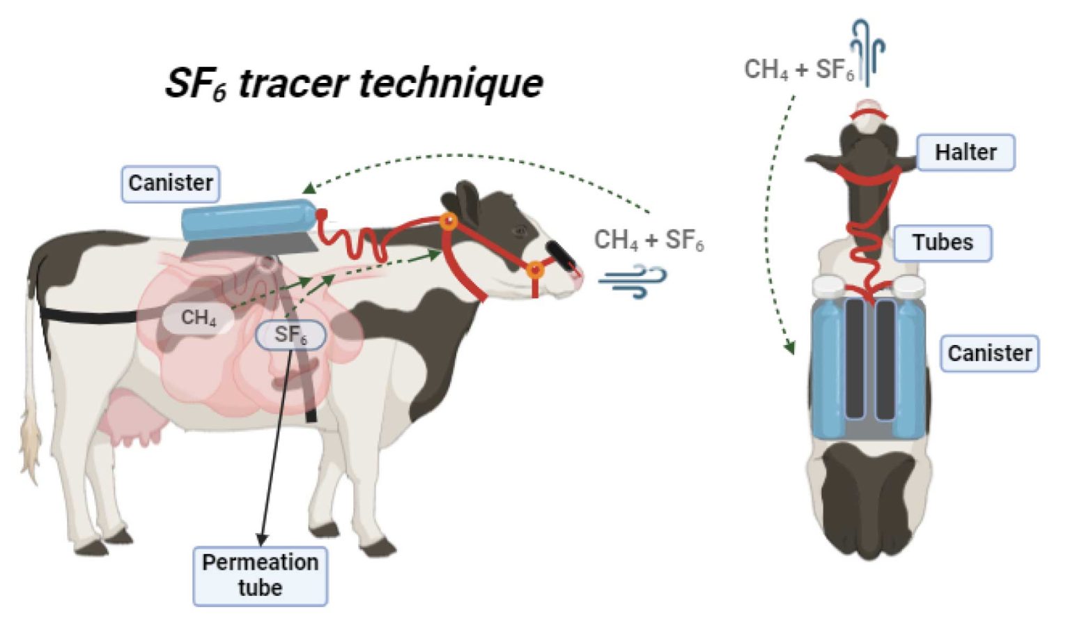 How can we measure methane emissions from commercial farms? – Dairy