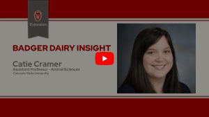 ️ Watch: Preparing Calves for the Road Ahead – Dairy