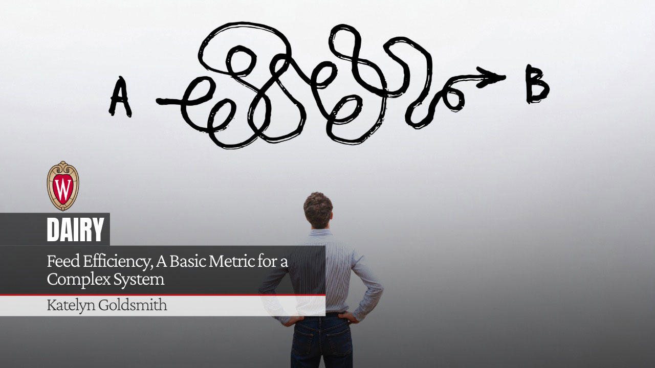 Feed Efficiency, A Basic Metric for a Complex System – Dairy