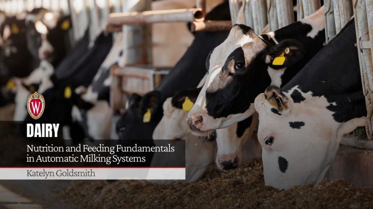 Nutrition and Feeding Fundamentals in Automatic Milking Systems – Dairy